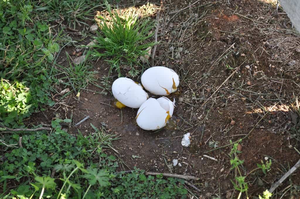 Nursery Rhyme Games - The Seasoned Mom