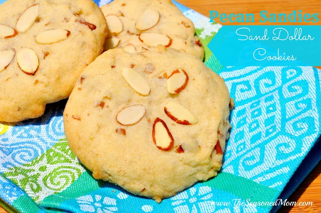 Rich Chocolate Pudding Pie - The Seasoned Mom